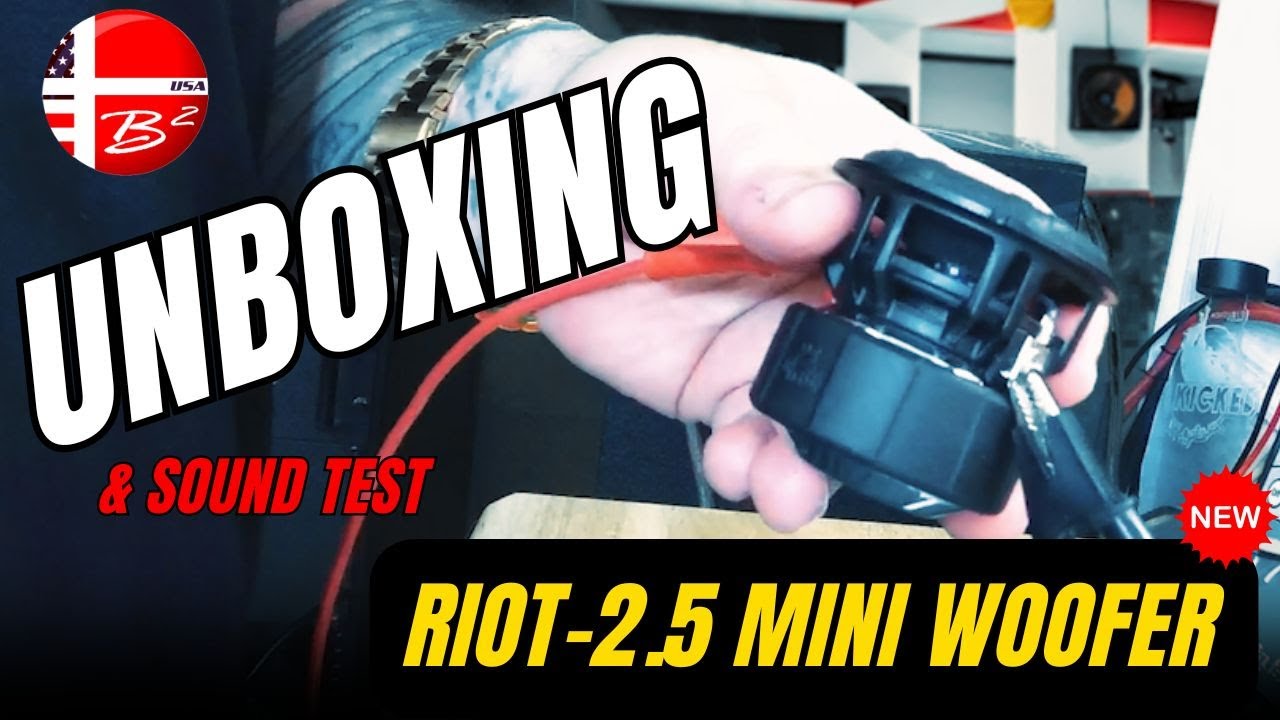B2 Audio RIOT 2.5 | Small Woofer, BIG Sound Unboxing & Sound Test ...