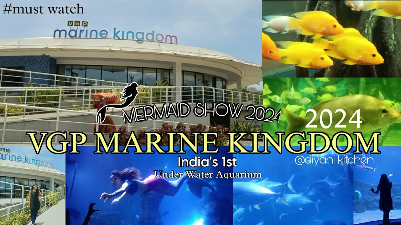 Exploring India's 1st Underwater Aquarium||VGP Marine kingdom Updates ...
