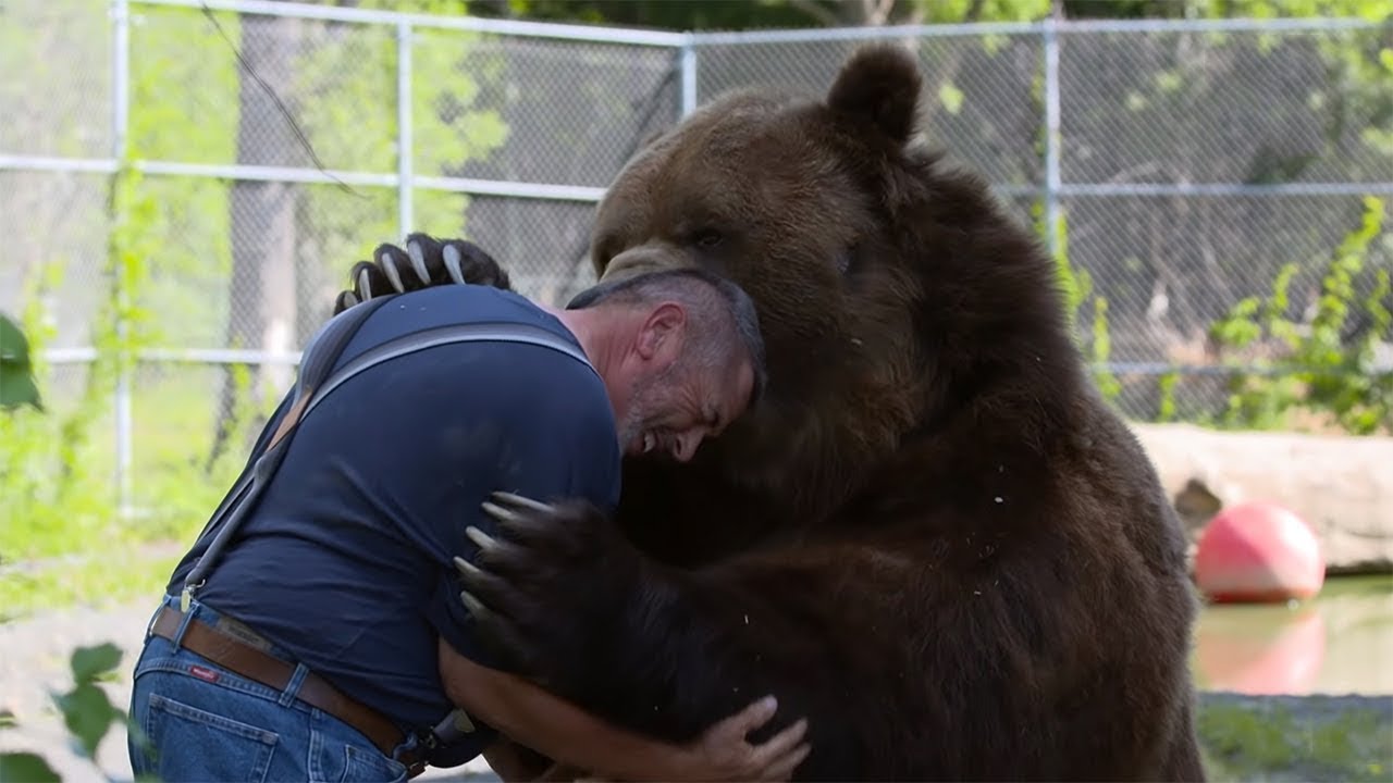 ANIMALS REUNITED WITH THEIR OWNERS AFTER YEARS! - YouTube