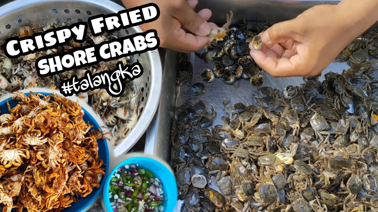 HOW TO COOK CRISPY FRIED SHORE CRABS | | CRABLETS | TALANGKA - YouTube