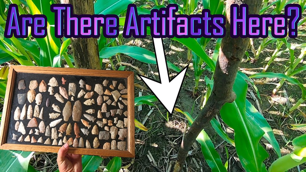 How To Tell If A Corn field Has Artifacts! - YouTube