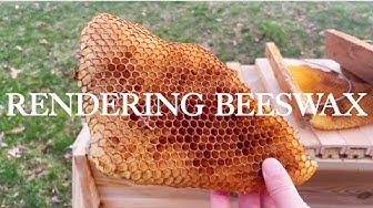 How to Render Beeswax from Honeycomb at Home! - YouTube