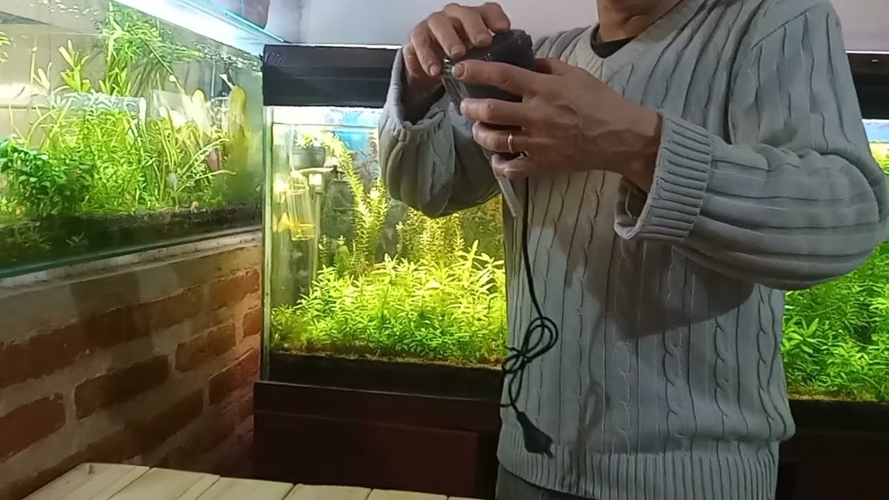 Acuario Aguas Vivas – El Acuario de Adrian Garay!