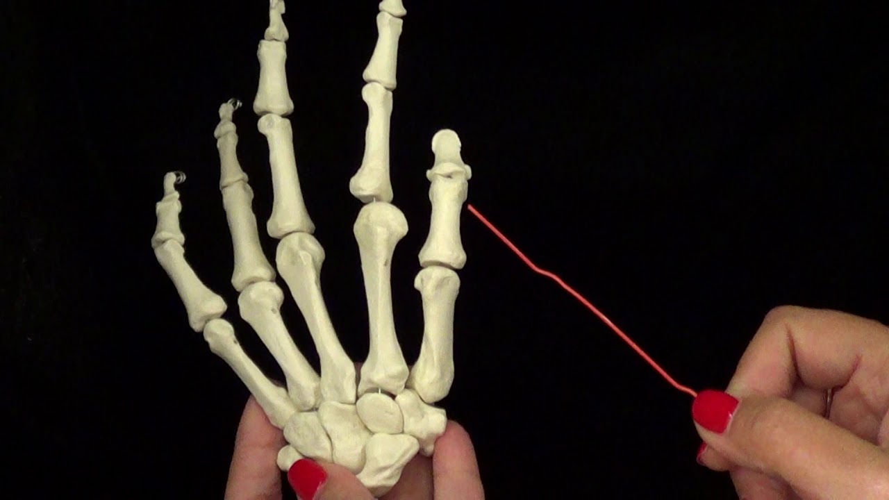 Hand - NEW VERSION - YouTube