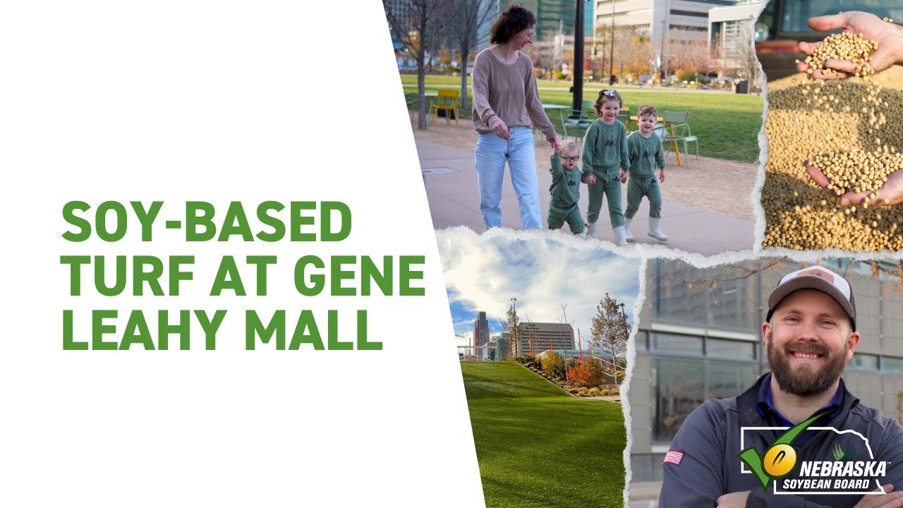 Soy-Based Turf At Gene Leahy Mall - YouTube