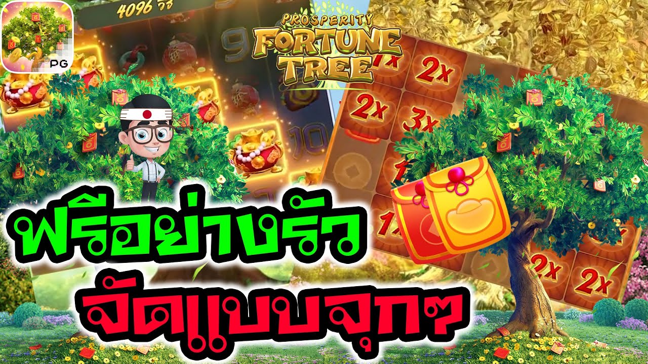 เกมส์ต้นไม้ PG [Prosperity Fortune Tree] ฟรีมากันแบบรัวๆจนจุก สล็อตค่าย ...