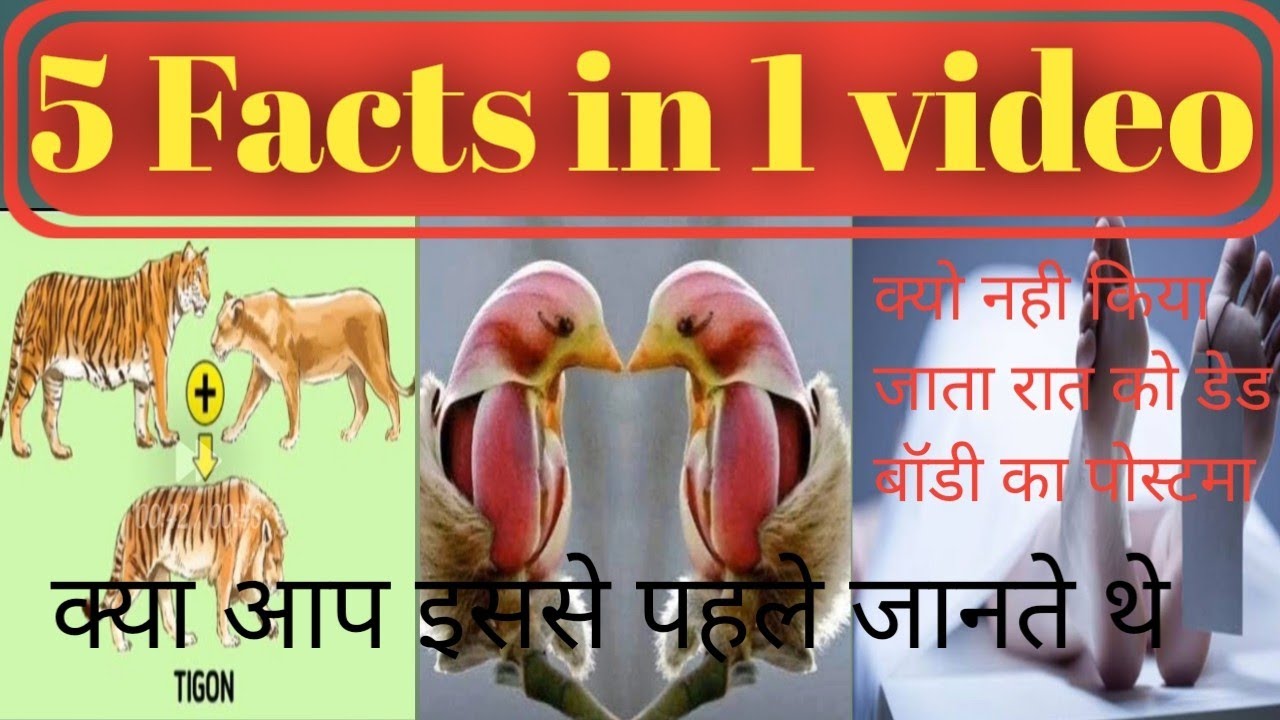 5 mind Blowing facts in 1 video/interesting facts/#funlife/#knowledgeable - YouTube
