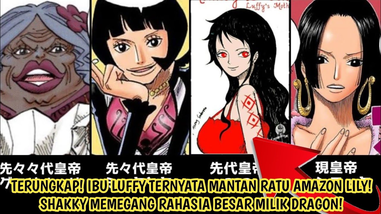 TERUNGKAP! IBU LUFFY TERNYATA MANTAN RATU AMAZON LILY SEBELUM HANCOCK ...