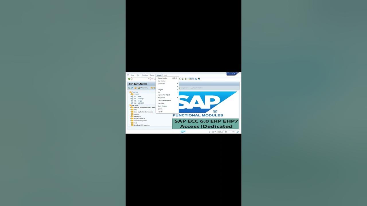 Changing Date Format and Decimal Notation in SAP: Best Practices and Customization Tips# ...