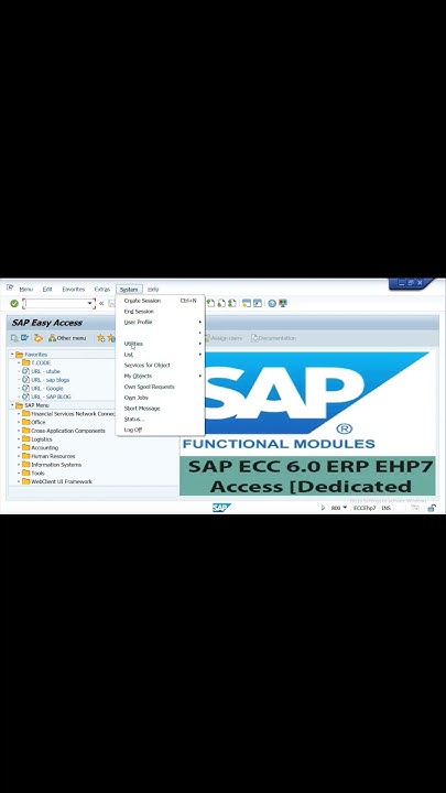Changing Date Format and Decimal Notation in SAP: Best Practices and Customization Tips# ...
