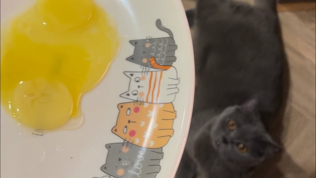 4 egg yolk for Lotus - YouTube