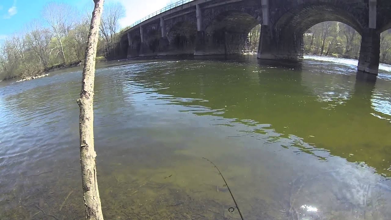 Juniata River Smallmouth Bass Fishing - YouTube