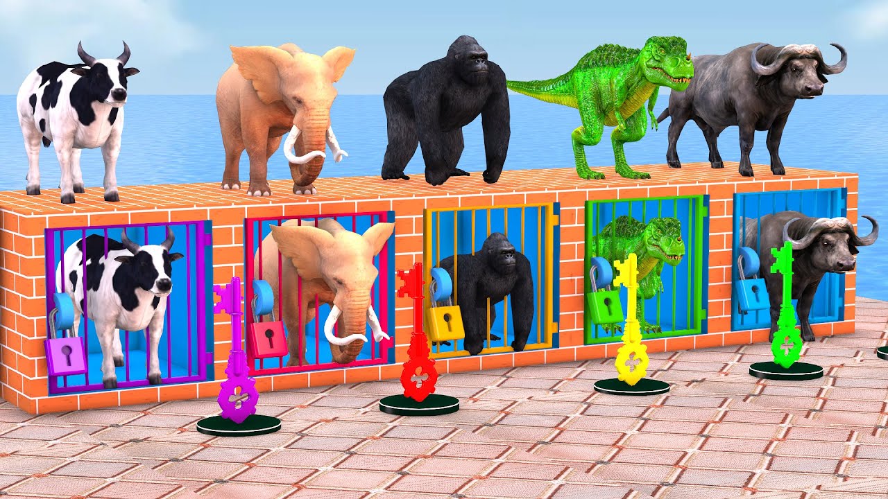 Don't Choose The Wrong Key With Elephant Cow Lion Gorilla Escape Room ...