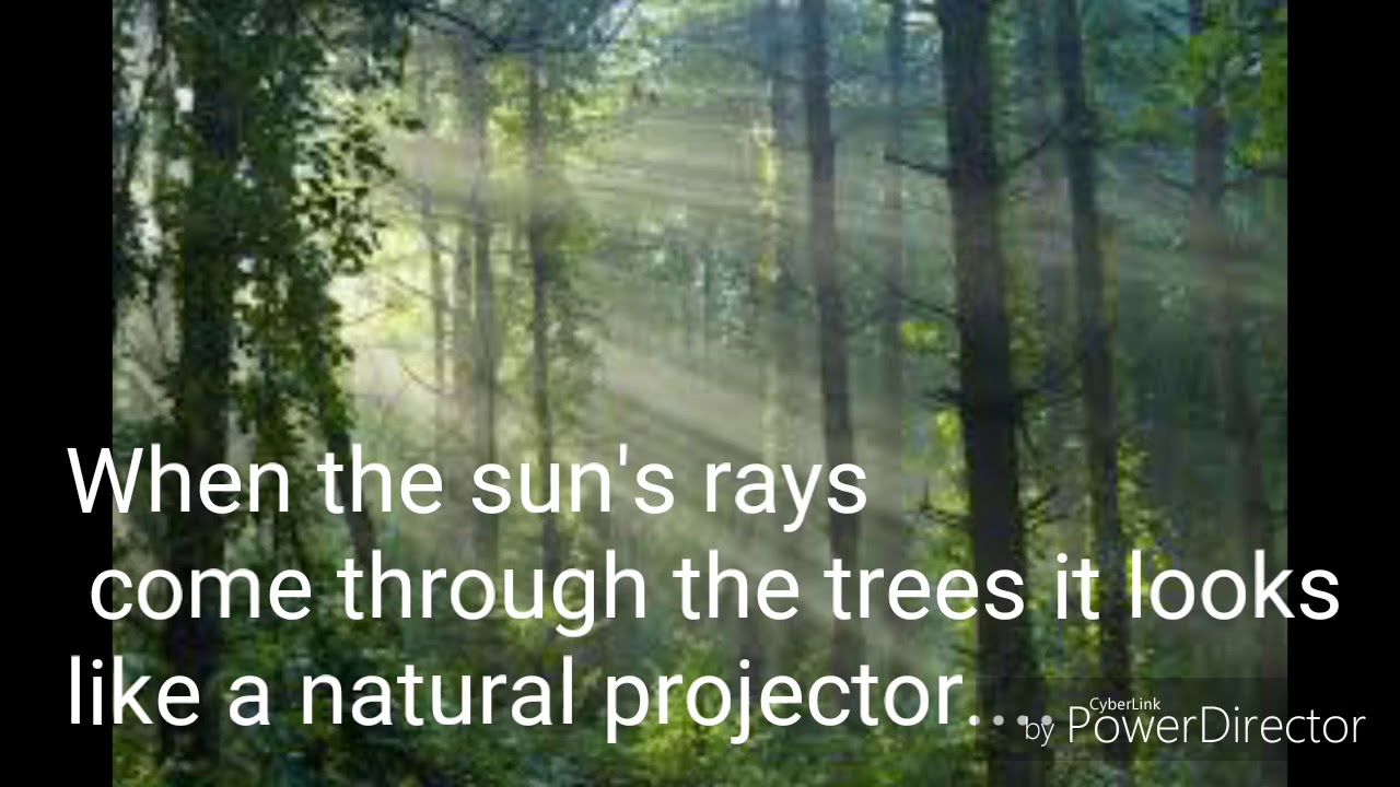 Nature is our best friend - YouTube
