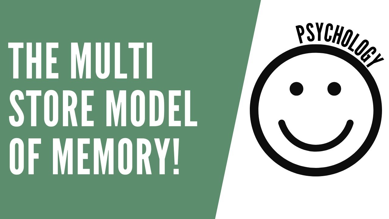 The Multi Store Model of Memory - YouTube