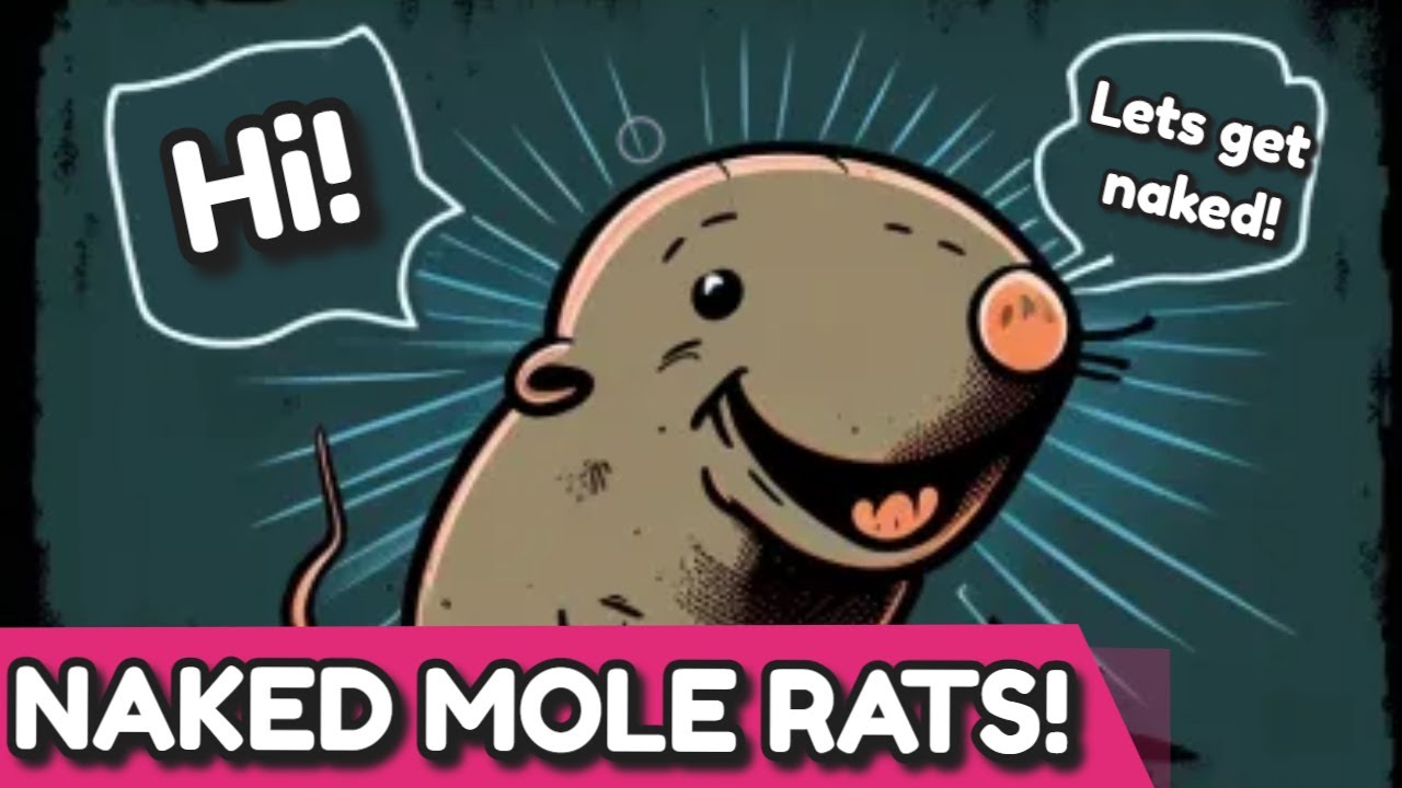 Naked Mole Rats: The Funky, Freaky, Fascinating Rodents You Never Knew ...