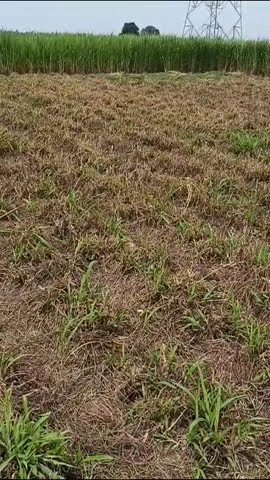 4 जून 2023 - YouTube