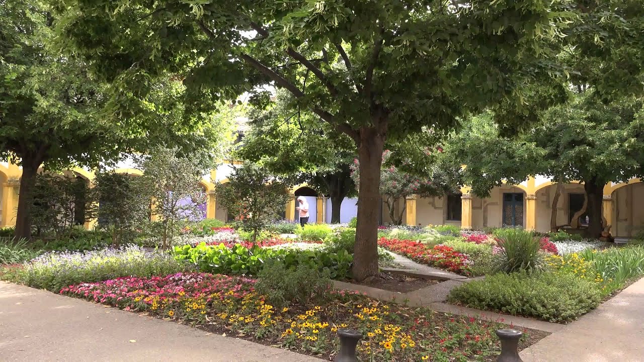 Espace Van Gogh, The courtyard of the former Arles hospital in 4K - YouTube