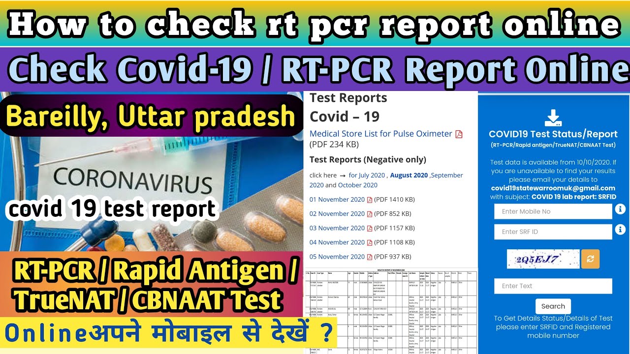 How to check rt pcr report online Bareilly Uttar pradesh | Check Covid ...