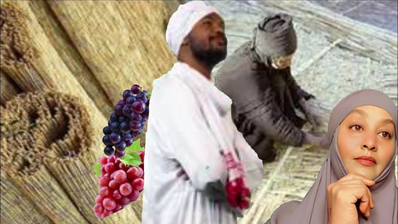 Qiso iyo Riyo Cajiib ah 🤔 Egypt 🇪🇬 Sh Mahmood Al Husary 🤔🤔 - YouTube