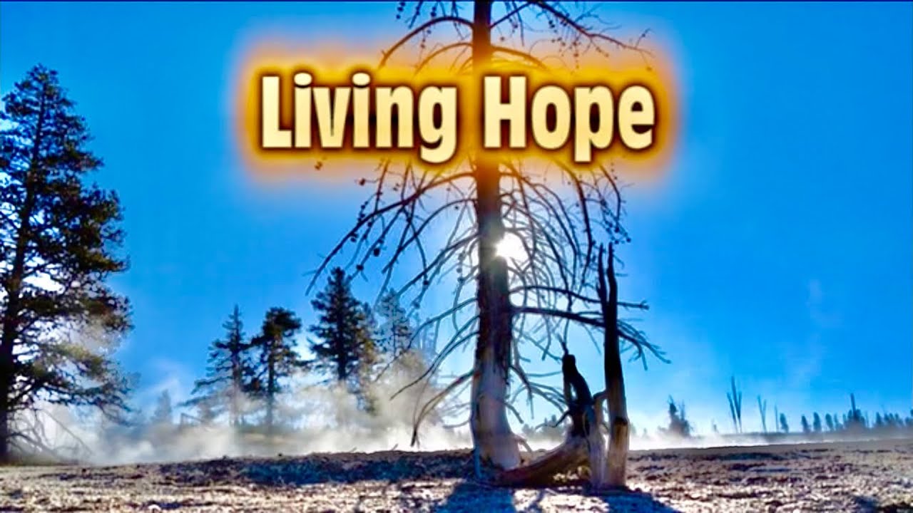 Living Hope - Joyful Christian Worship Songs ~ Beautiful Praise And ...