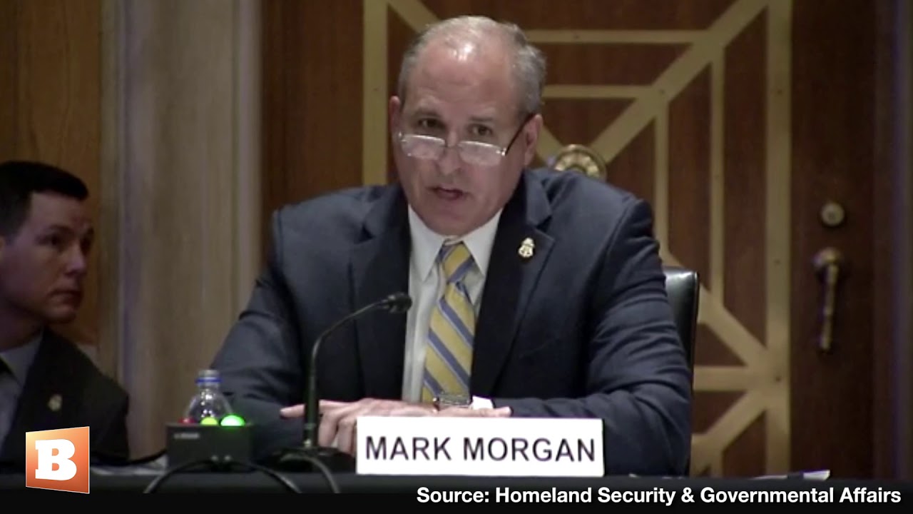 Acting USCBP Commissioner Mark Morgan: Economic Reasons 'Overwhelming ...