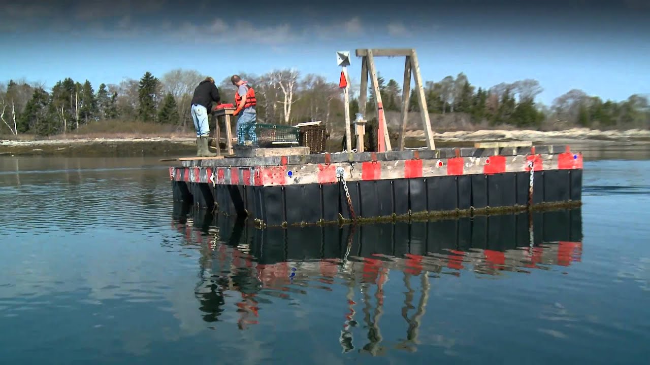 Environmental Science program - YouTube