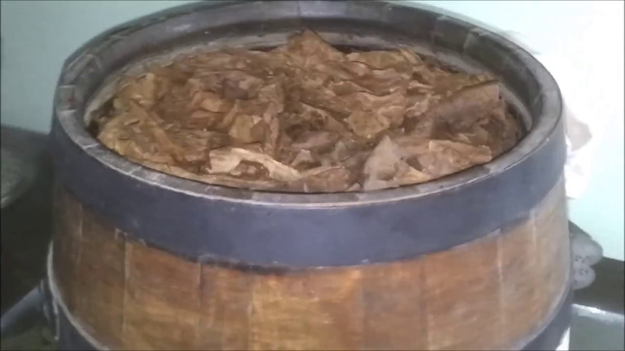 Longbottom leaf, barrel-case, by Leanarte 2017 - YouTube