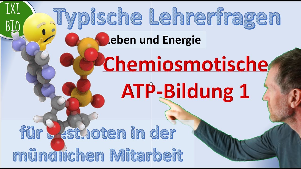 Chemiosmotische ATP-Bildung Teil 1/3 - Grundlagen: typische ...
