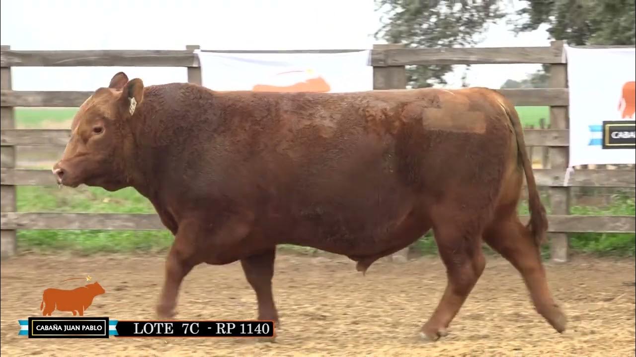 LOTE 7C RP 1140 - YouTube