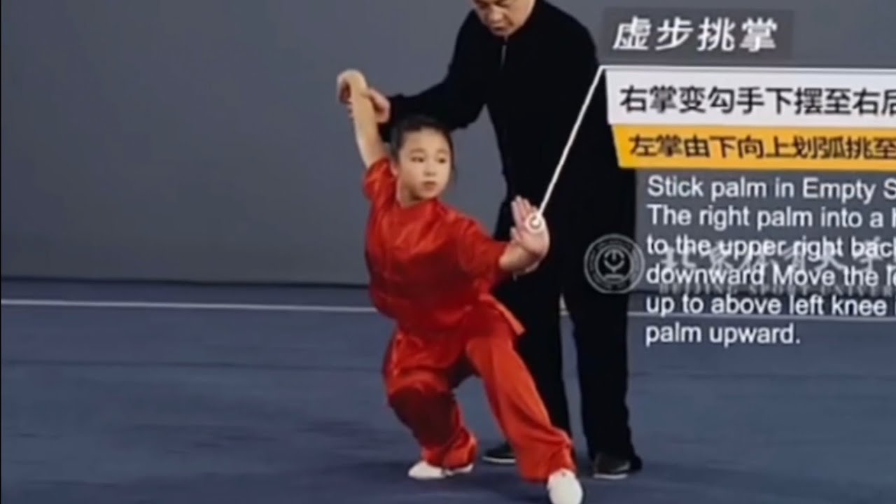 # 5 , Kung Fu Daily Workout: Beginner's Guide to Master the Art with Me ...