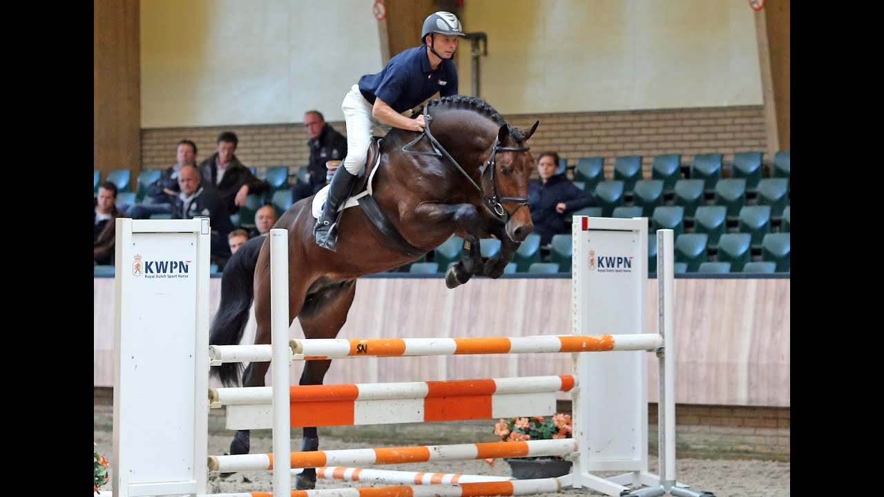 Glenfiddich VDL Stud Stallion Show 2021 - YouTube
