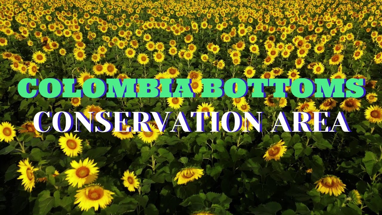 The Colombia Bottoms Conservation Area - YouTube