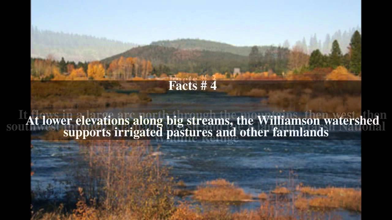 Williamson River (Oregon) Top # 8 Facts - YouTube