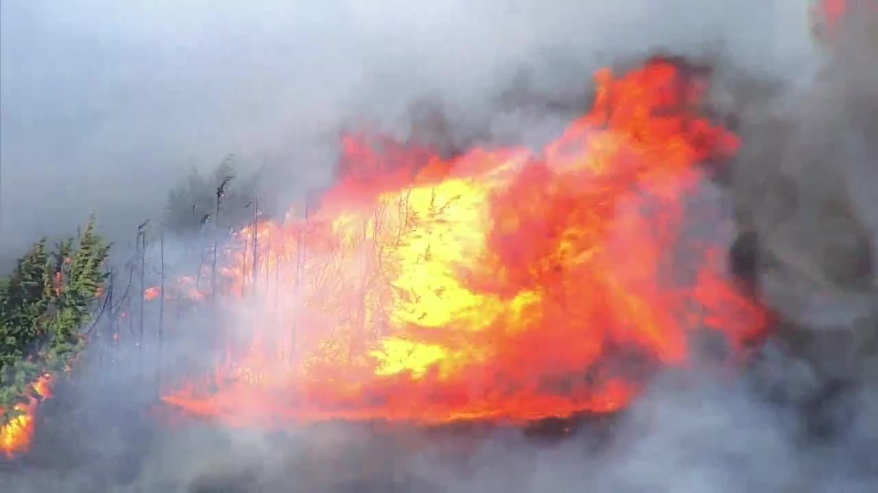 Sky 5 shows large flames after cedar trees catch fire in Logan County ...