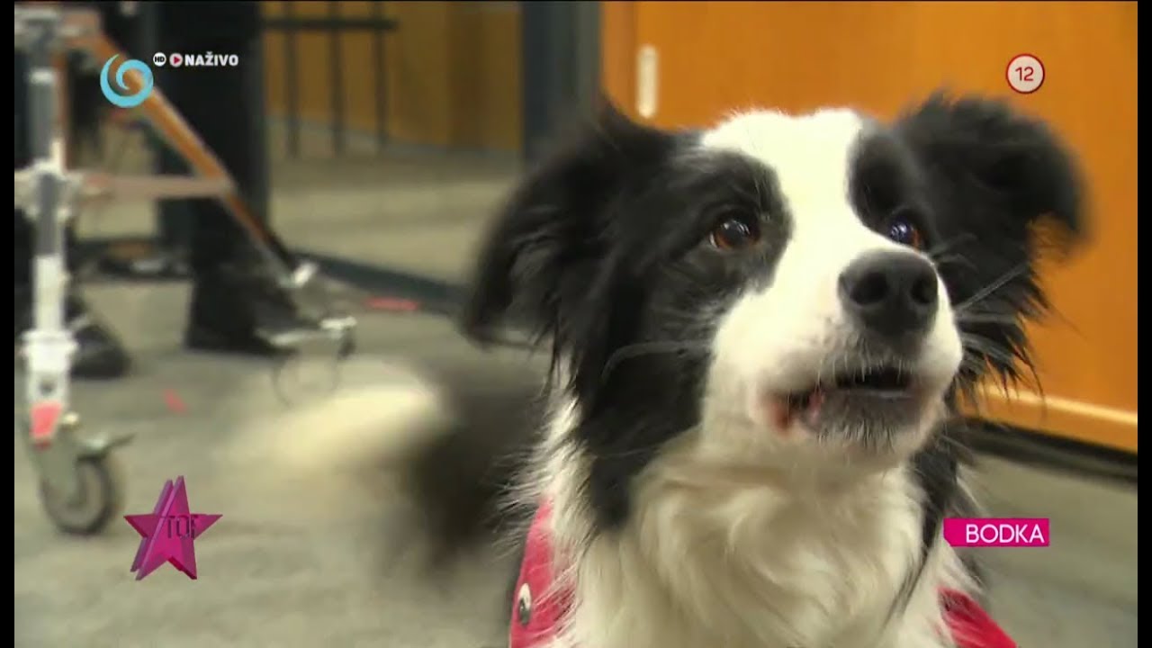 Nový seriál BODKA - YouTube