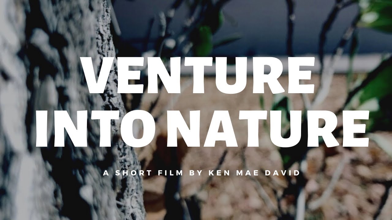 NATURE | CINEMATIC 4K FILM | #Nature #Cinematicfilm #4K - YouTube