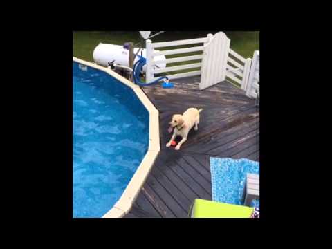Rambo's Pool - YouTube