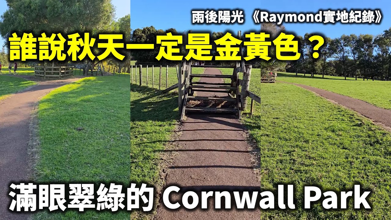 20260203C 誰說秋天一定是金黃色？滿眼翠綠的 Cornwall Park | 雨後陽光 《Raymond實地紀錄》 - YouTube