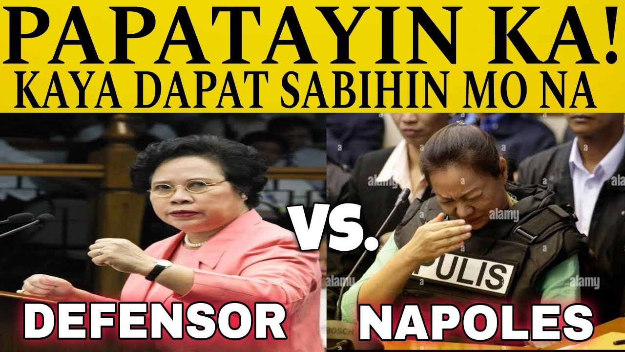 MIRIAM DEFENSOR SANTIAGO AT JANET NAPOLES HEARING PDAF ISSUE TROWBACK ...