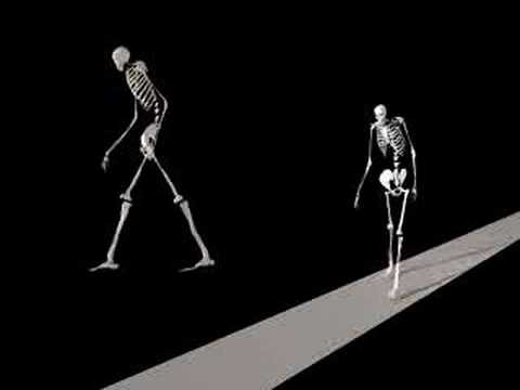 Animation Cycles - run, trot, canter, flap, limp, skip - YouTube
