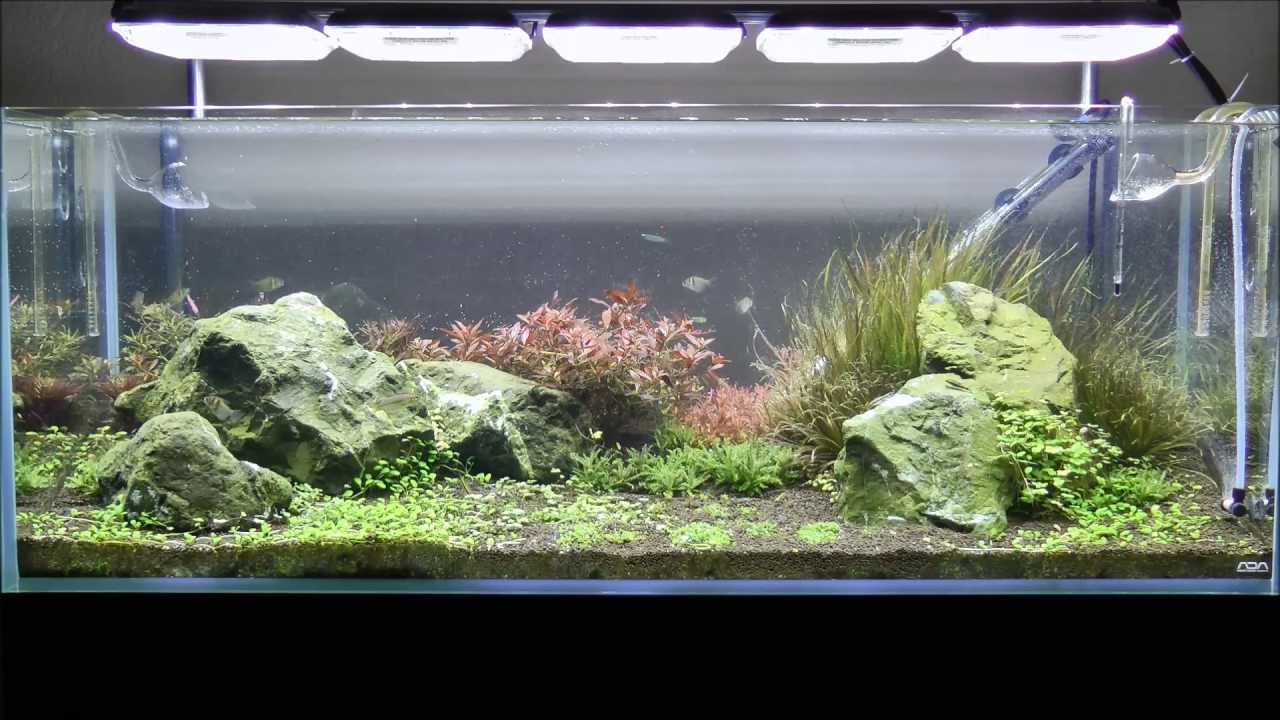 ADA 120p Day 3 weeks - YouTube