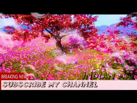 New romantik whatsapp status video