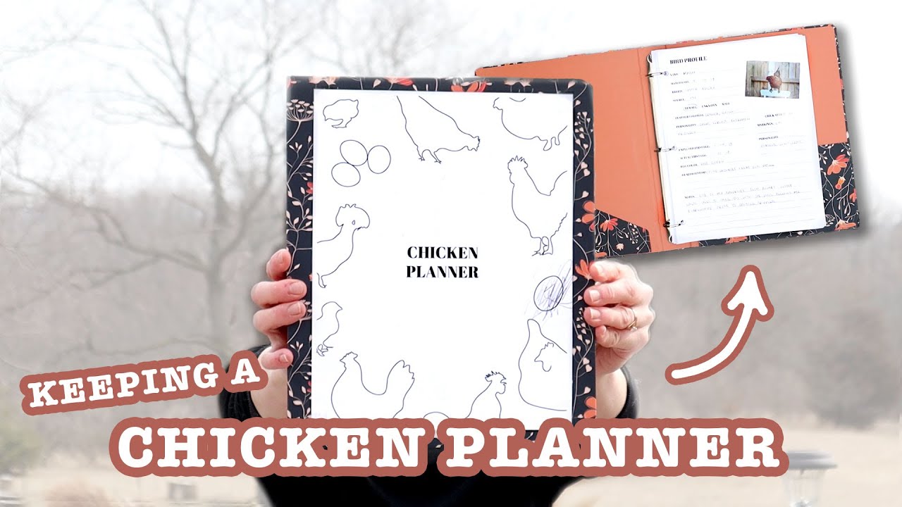 I Made A "Chicken Planner"; Here's What's Inside | PDF For Organized ...