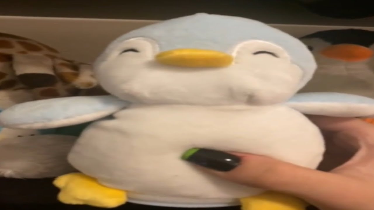 El pingüino especial de Nimu (IRL) - YouTube