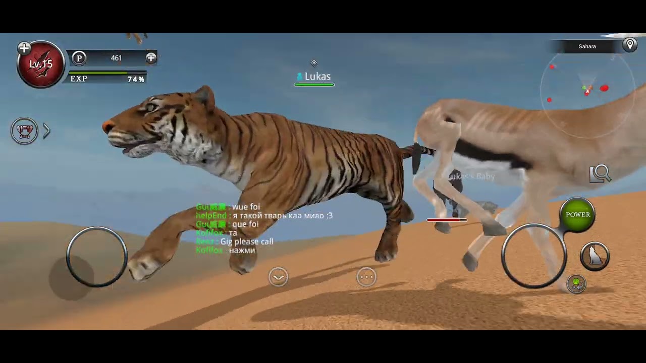 Wild animal chapitre 5 le poss - YouTube