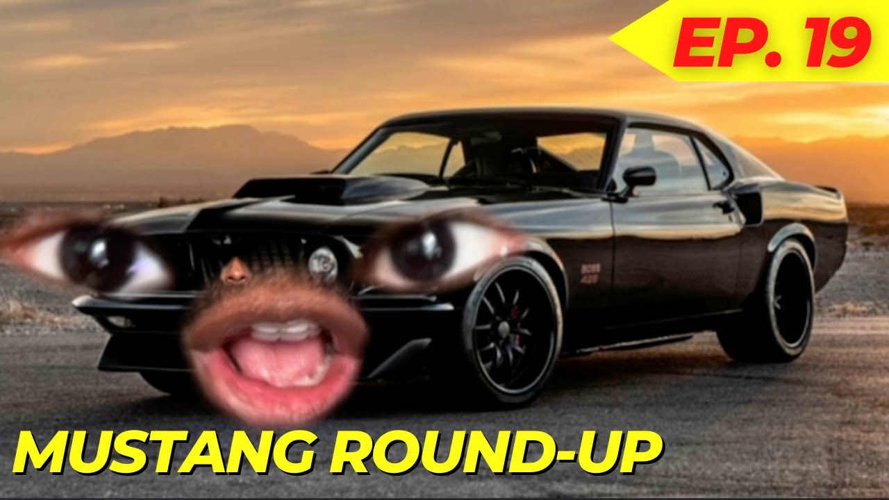 FUNNY Mustang Round Up Boss 429 Dark Horse Gt500 and More | Ford ...
