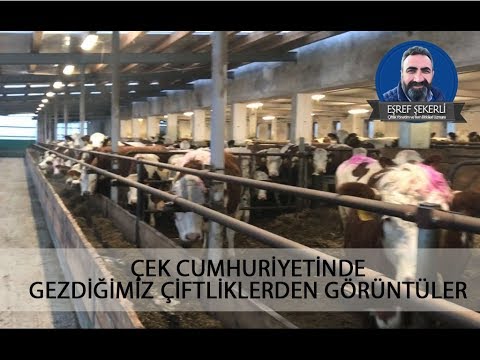 Çek Cumhuriyeti Gezimiz Devam Ediyor!