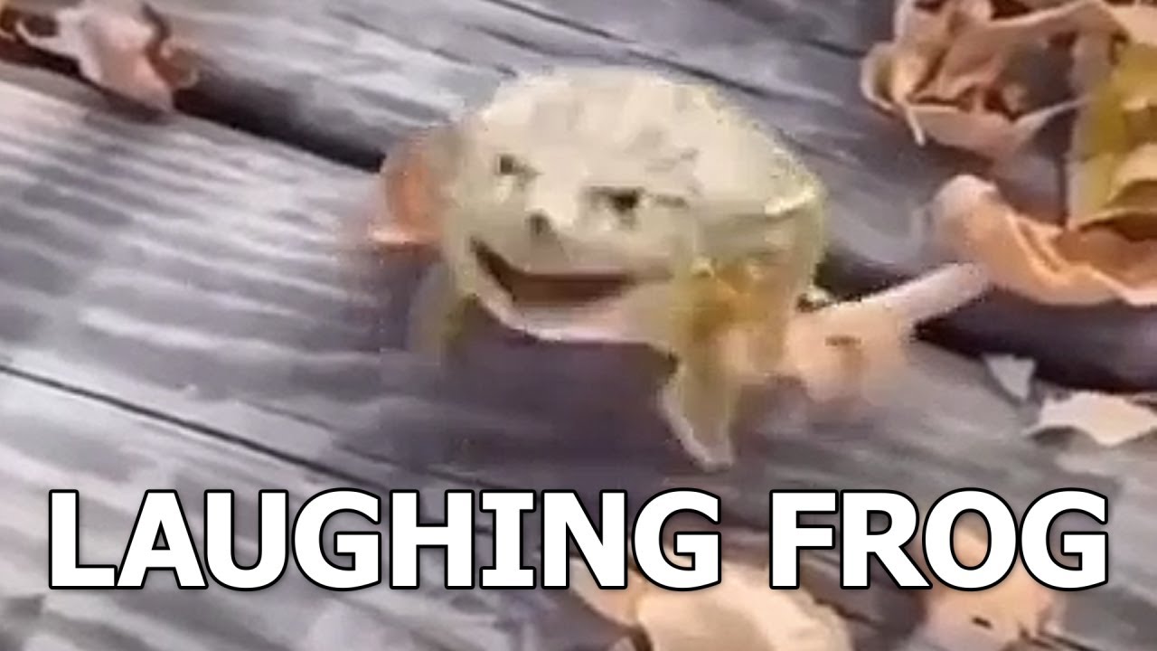 Frog Laughing Sound Variations in 60 seconds - YouTube