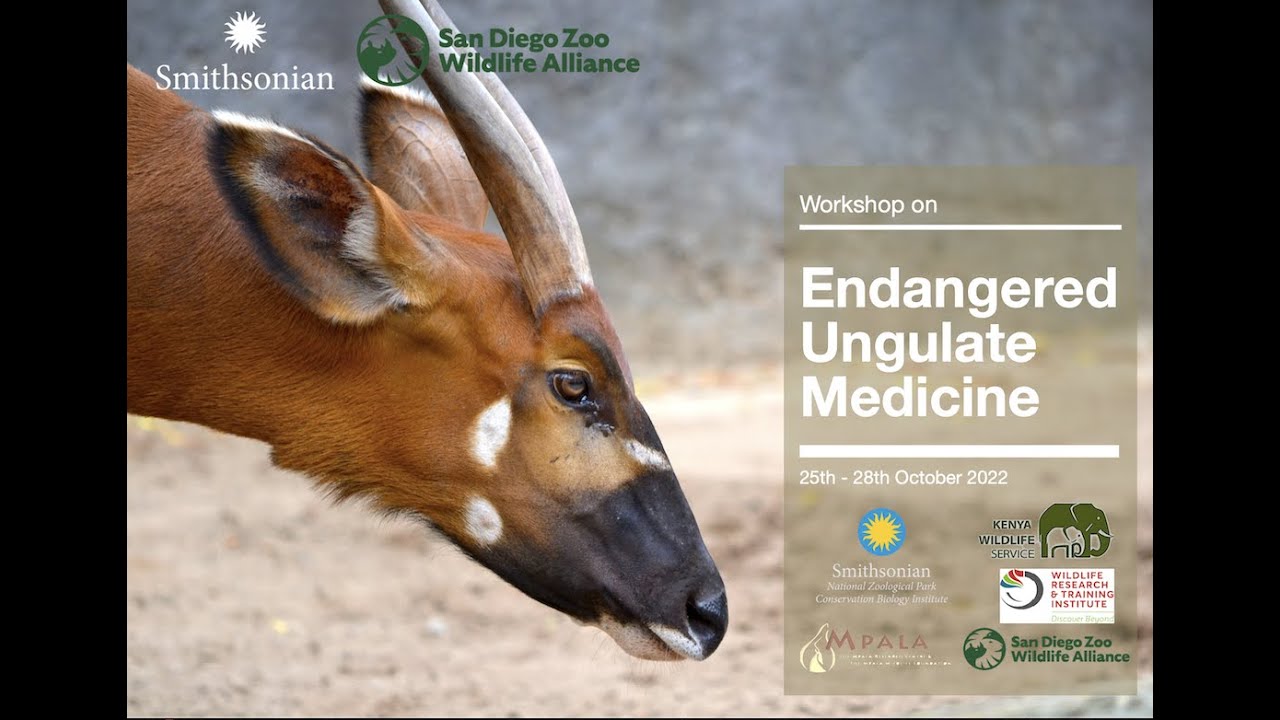 Endangered Ungulate Medicine Workshop 2022 - YouTube